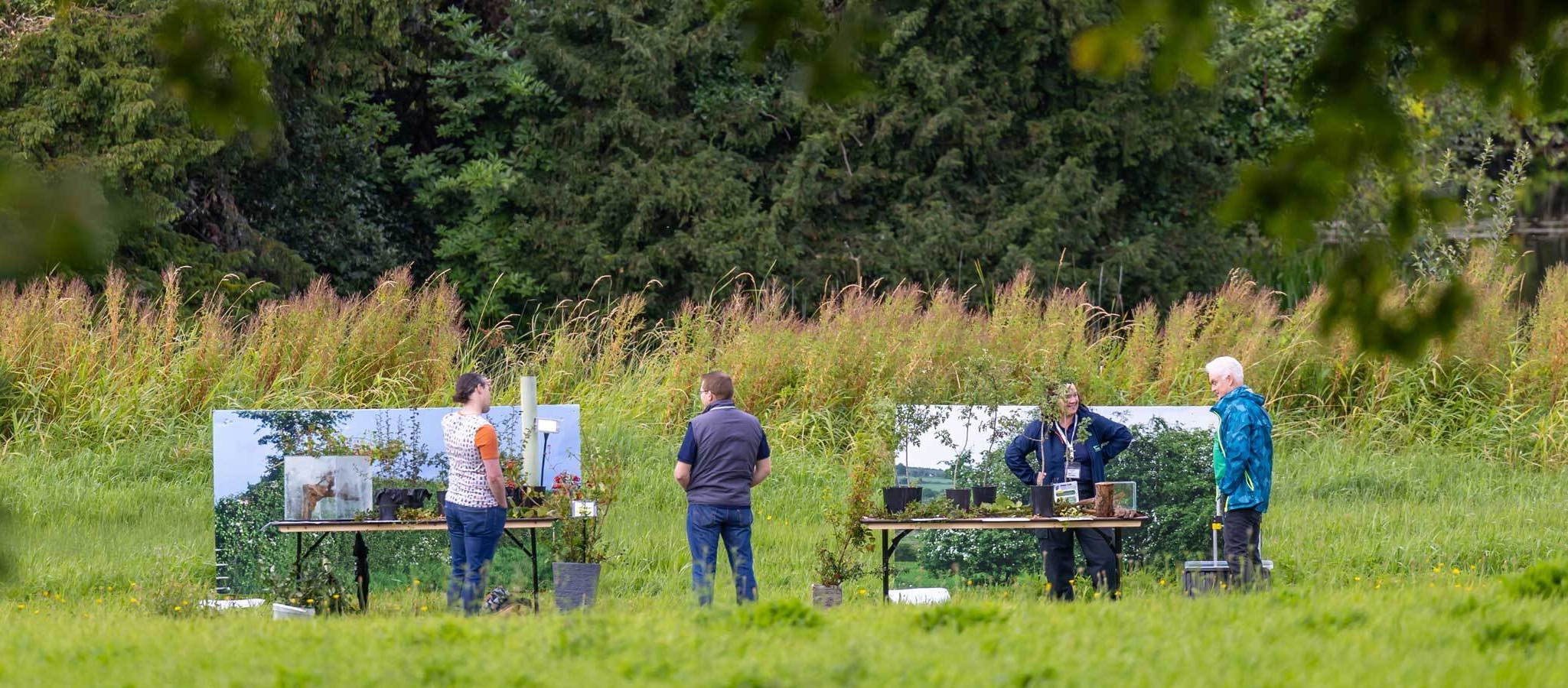Celebrating Ireland’s Hedgerows: National Hedgerow Week 2025 Announced ...