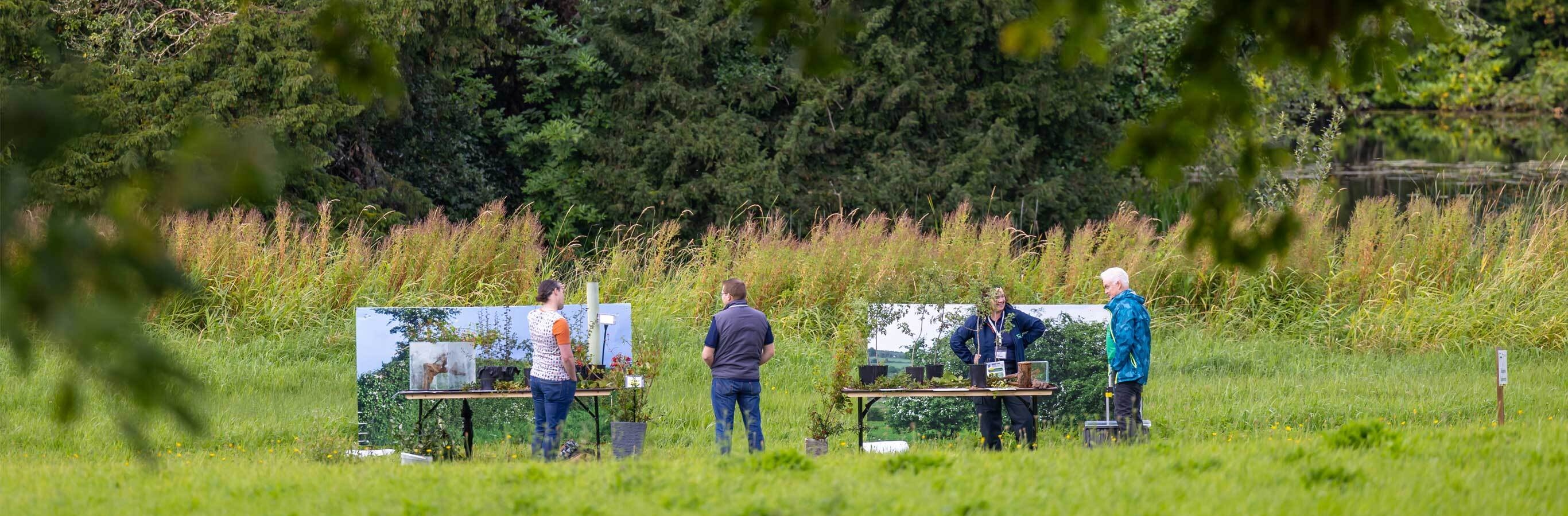 Celebrating Ireland’s Hedgerows: National Hedgerow Week 2025 Announced ...